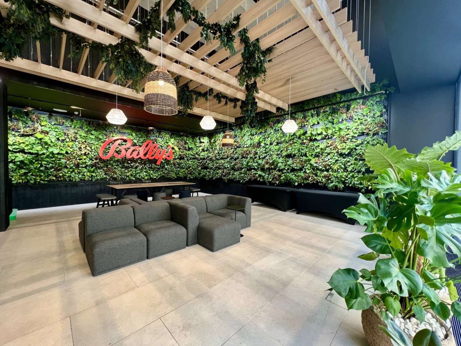 Office Plants & Biophilic Design for Workplaces