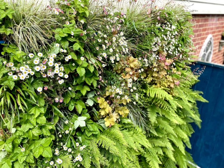 Living Walls: Urban Biodiversity Solutions for Concrete Cities