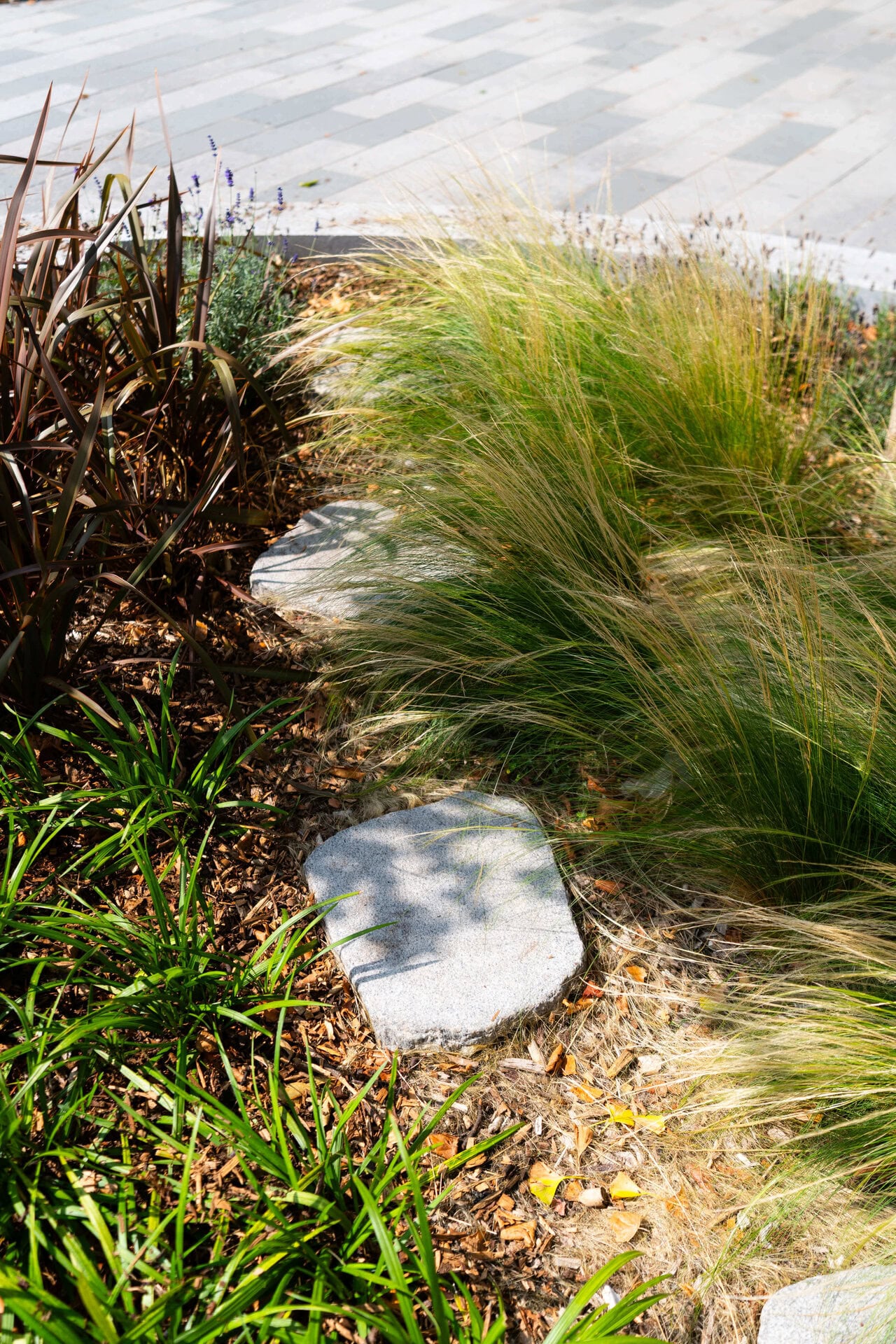 Juniper Pocket Park in Walthamstow | Meristem Design