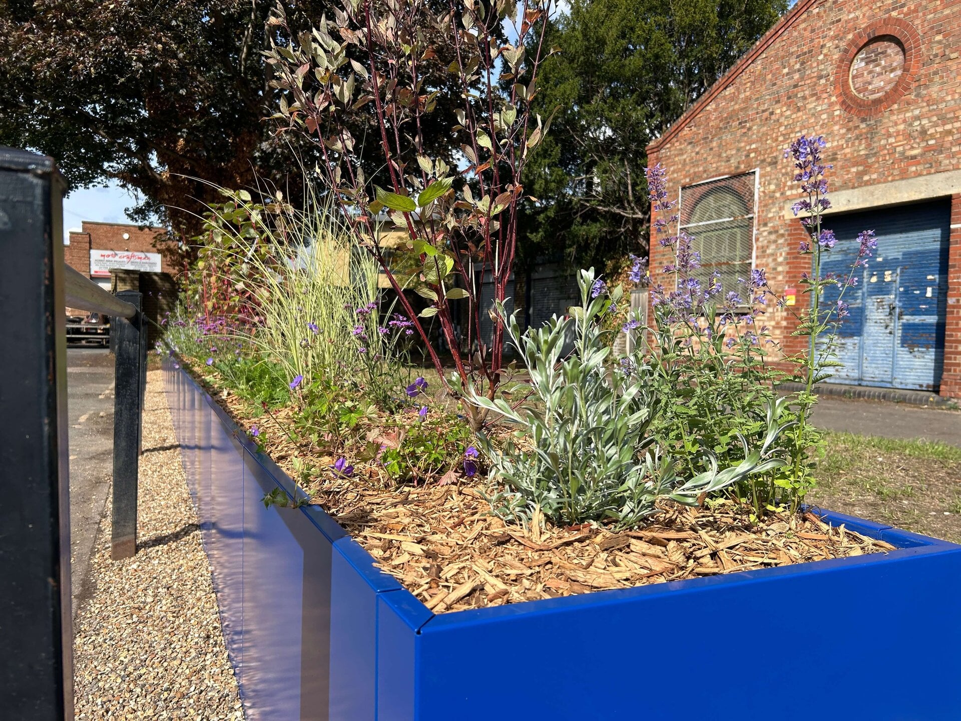 Redless Park Hybrid Rain Garden SuDS Planters