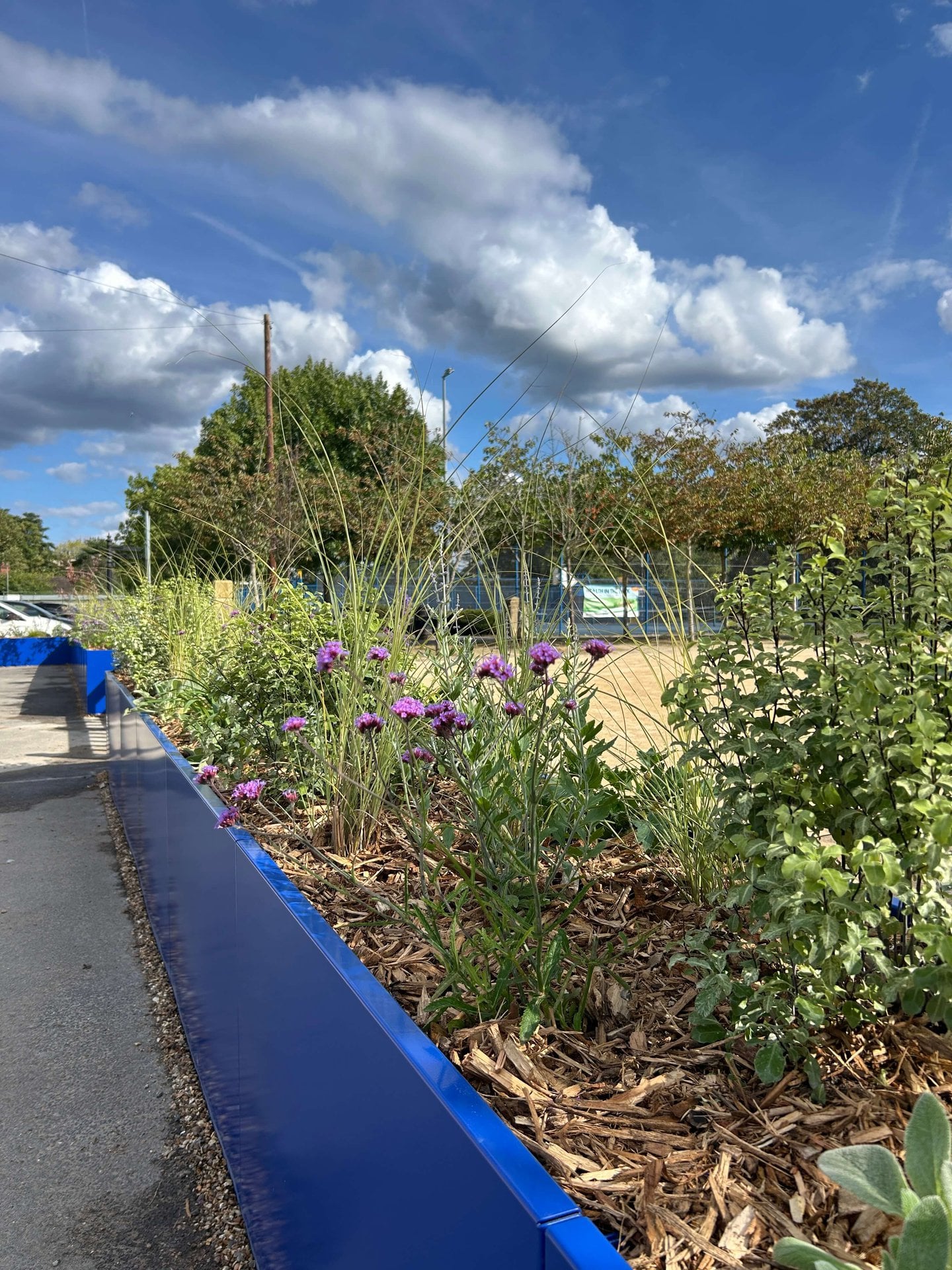 Redless Park Hybrid Rain Garden SuDS Planters