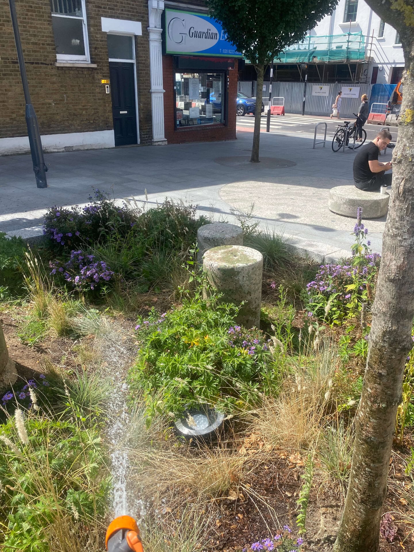 Cairo Place Rain Gardens in Walthamstow