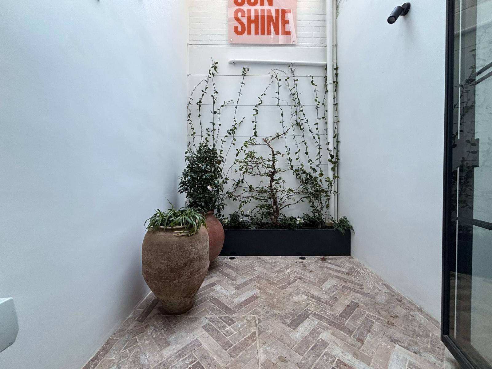 St Luke’s Street | Compact Urban Courtyard & Front-of-House Planting